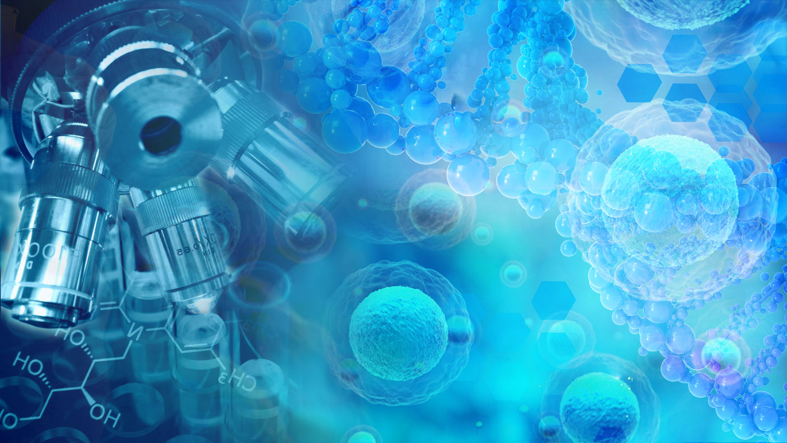 前沿：干细胞外泌体，在修复受损卵巢方面具有广阔应用前景_生殖细胞