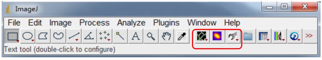 使用ImageJ插件Angiogenesis Analyzer对血管网络进行定量！ – 王进的个人网站