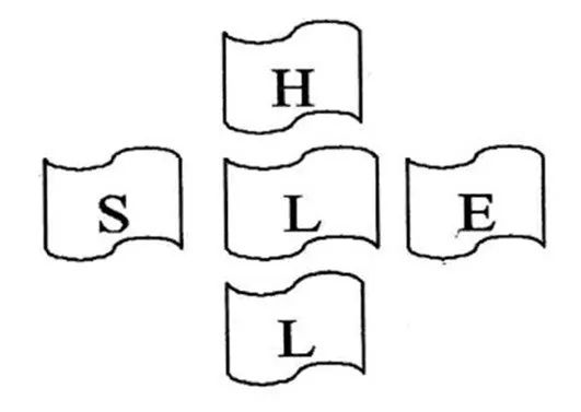 人因｜基于SHELL模型的人为因素分析--李胜(B)_飞行