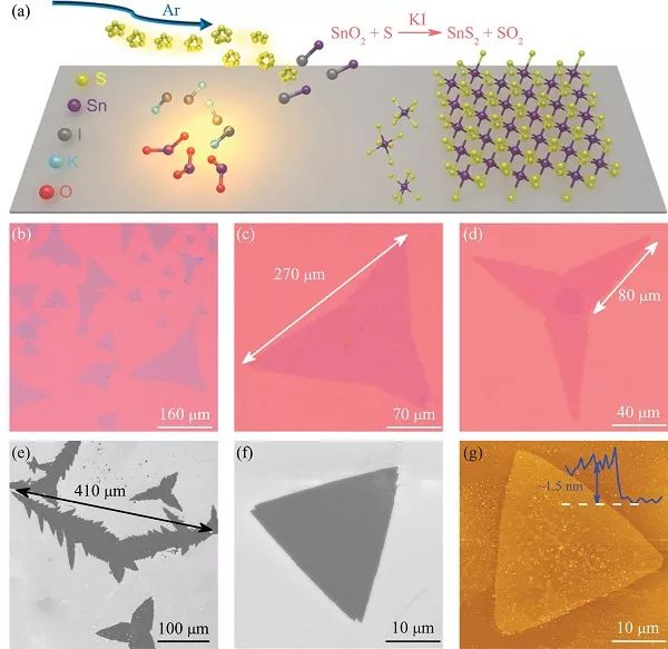 胡志高&宫勇吉Small：基于大面积原子层SnS2场效应晶体管电学性能研究_图像