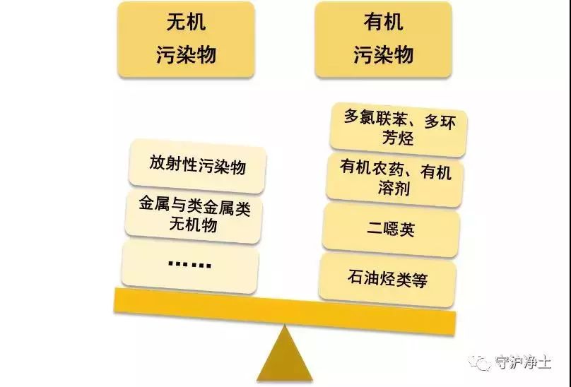 【案例分享】某重金属污染场地土壤修复案例分享_形态