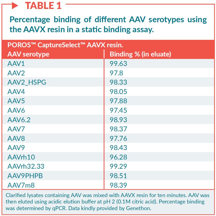 AAV生产工艺中的下游纯化和QC解决方案_病毒