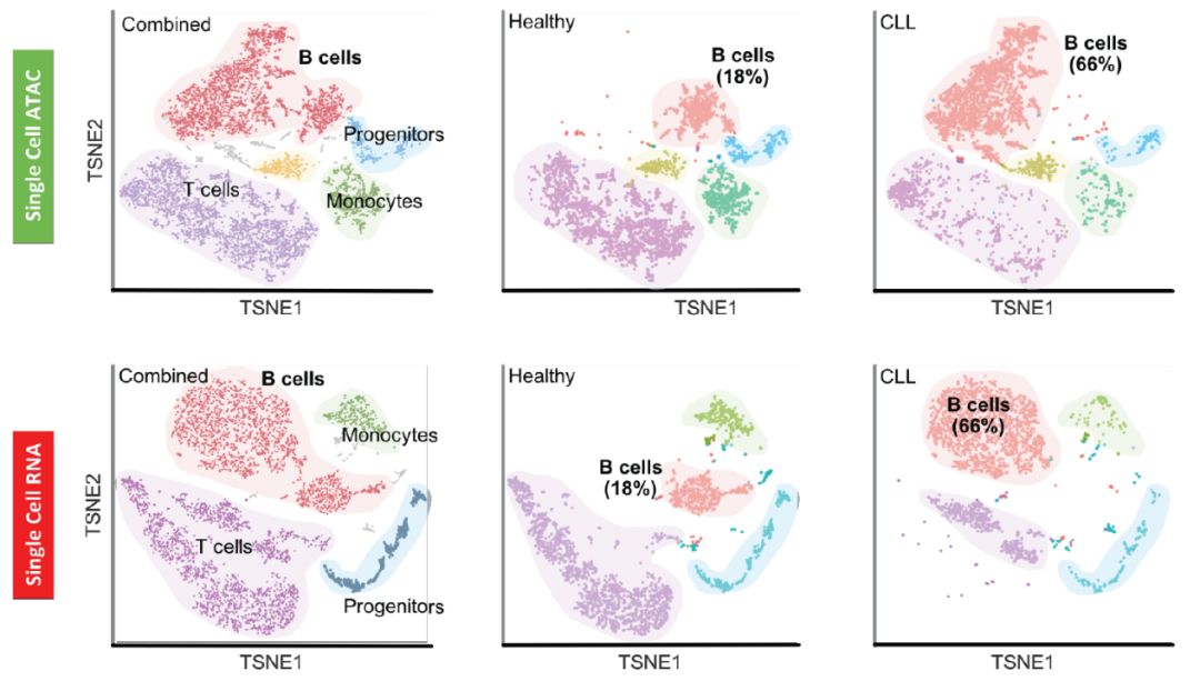 一文读懂表观遗传学研究利器——ATAC-seq技术及应用丨深度长文_DNase