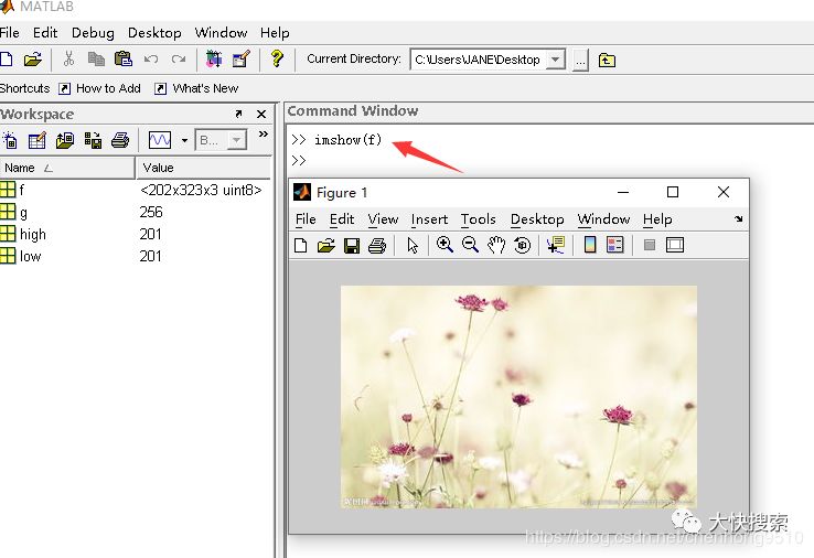 MATLAB实现图像的读取、写入、显示_imshow