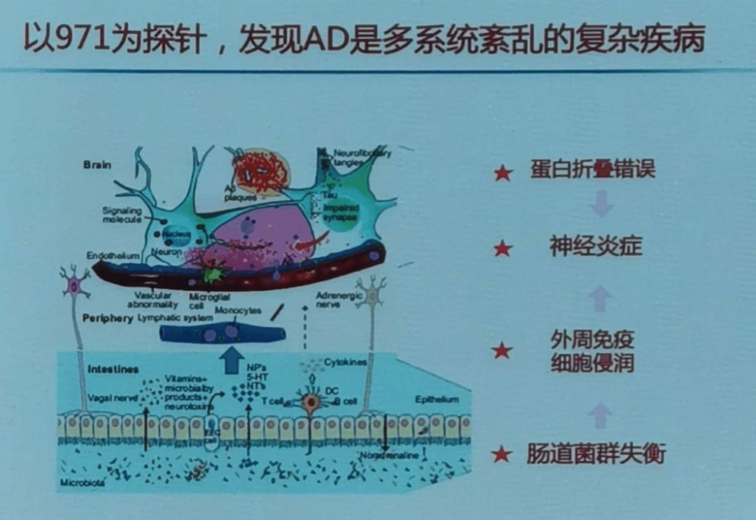 从GV-971的临床试验数据，学习一下Th1细胞的作用机理_阿尔茨海默病