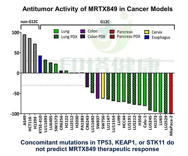 MRTX849治疗KRAS突变实体瘤患者临床数据及不良反应-搜狐大视野-搜狐新闻