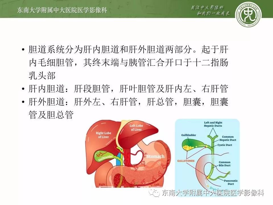 ptcd示意图-千图网