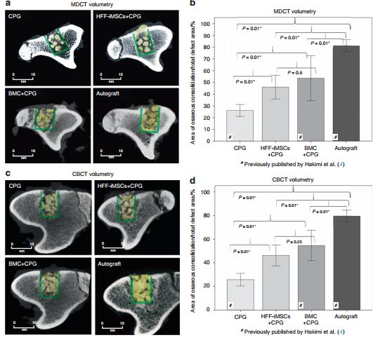 【文献速递】人iPSC衍生的iMSC可改善骨骼再生_分析