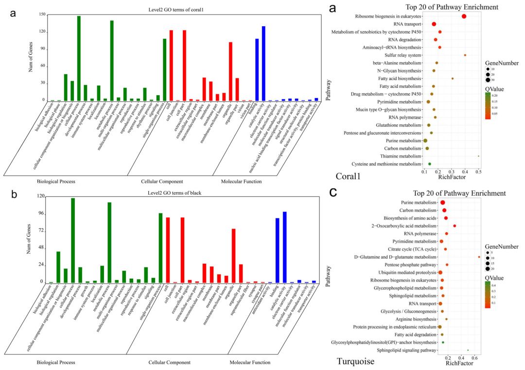 如何利用WGCNA分析转录组数据？_基因