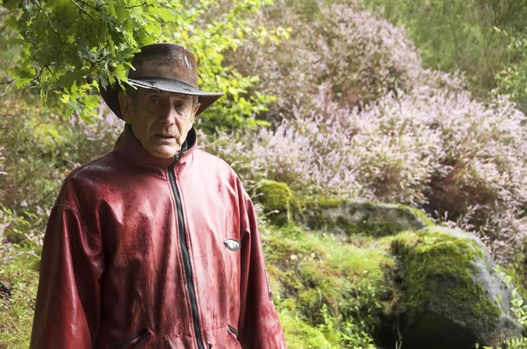 以自然为主体，走进园林大师Gilles Clément_公园