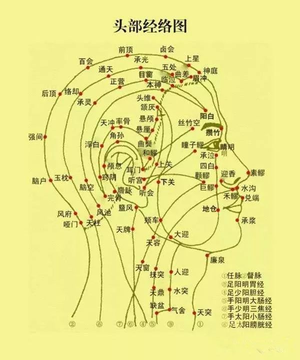 小雪过后，做好“两清一补”，来年壮如虎！_头部