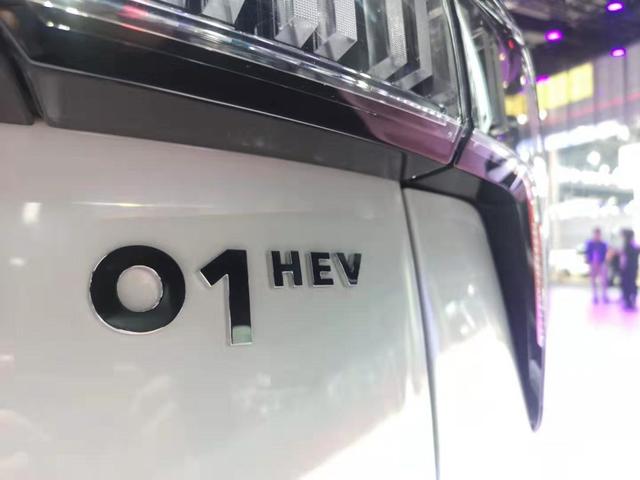 首款本土HEV面世，有实力与丰田正面对抗吗？| 爆点_搜狐汽车_搜狐网