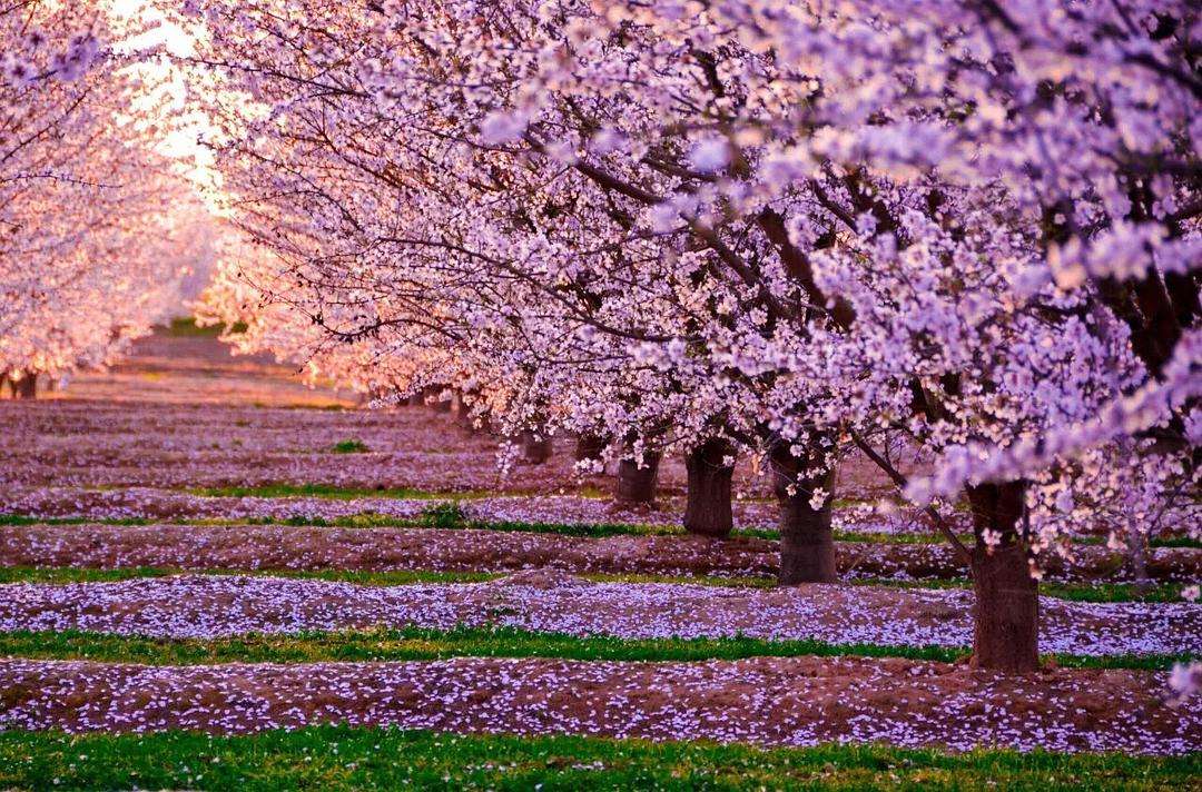 河南最发达的城市：人均GDP20万，有钱人出行全靠动车高铁！_郑州