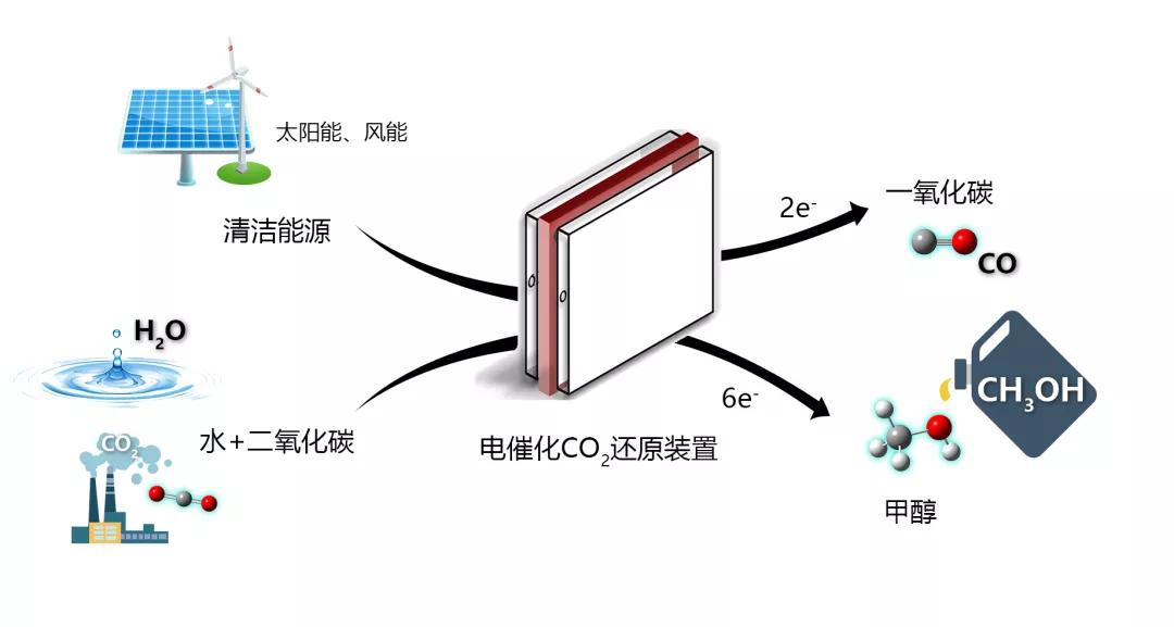 南方科技大学在电催化还原CO2的研究方面取得重要进展_CoPc