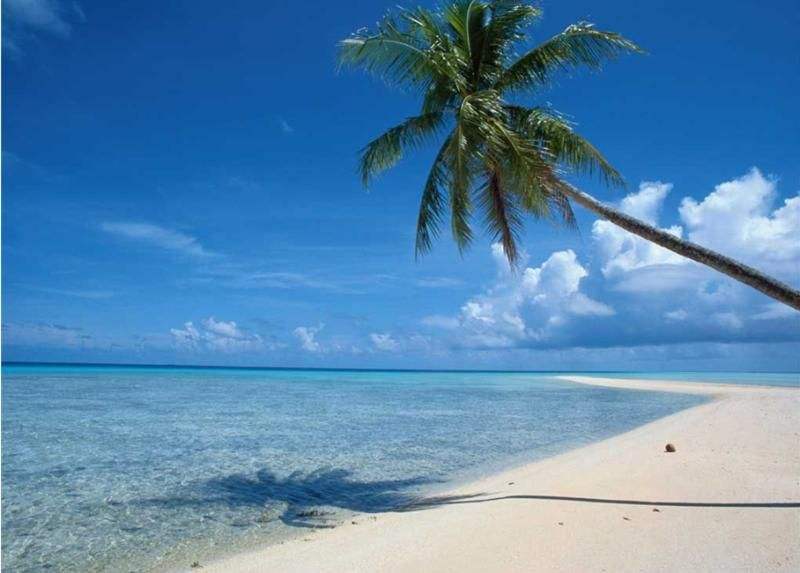 在线式氟化氢检测仪（GRI-9106-E-HF） - 气体汇