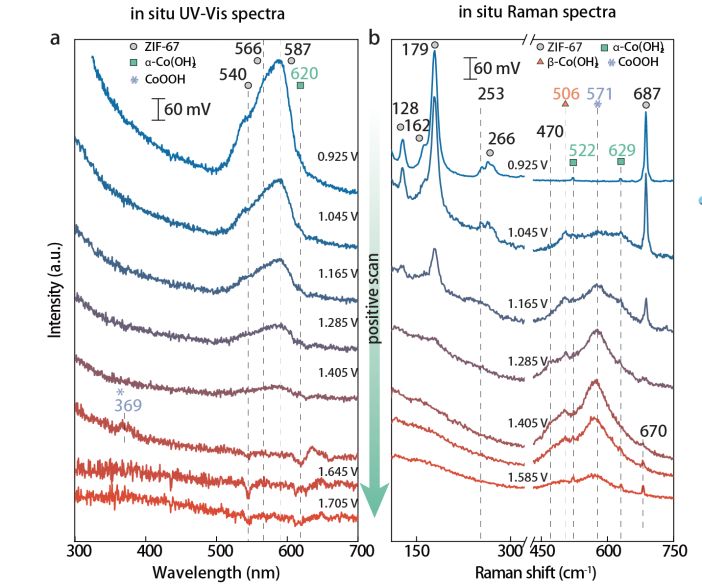 原位电化学谱图法精细剖析OER反应ZIF-67 转变过程_Figure