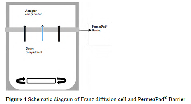口腔黏膜给药系统的药物动力学研究进展_生物