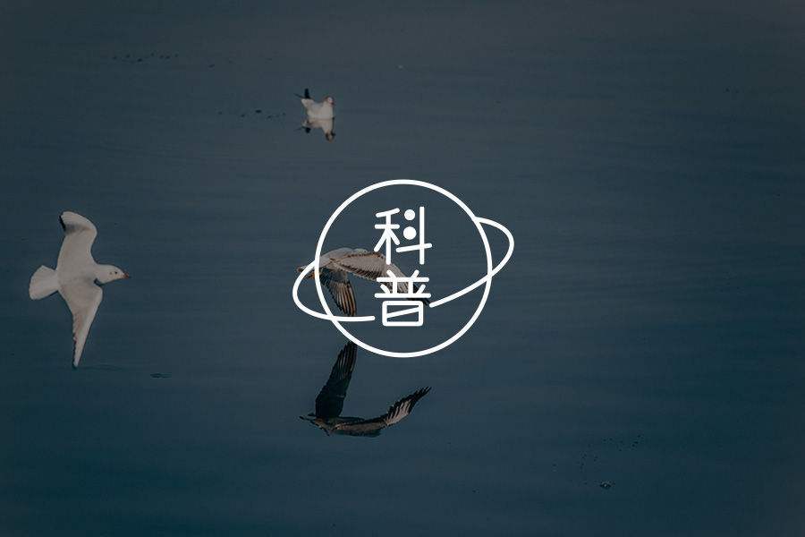 ENIENT EJ0201完美替代施敏打硬575H_粘结