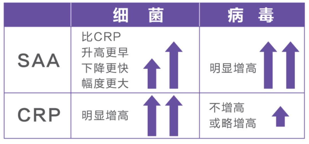 新试验SAA临床应用的科普-搜狐大视野-搜狐新闻