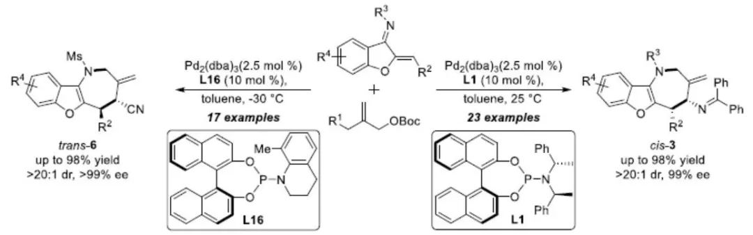 华东理工大学药学院邓卫平教授课题组Angew： Pd-TMM催化不对称[4+3]环加成反应合成苯并呋喃[3,2-b]氮杂䓬骨架-搜狐大视野-搜狐新闻