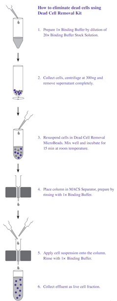 单细胞测序实验为什么要去除死细胞 | 单细胞专题_Dead