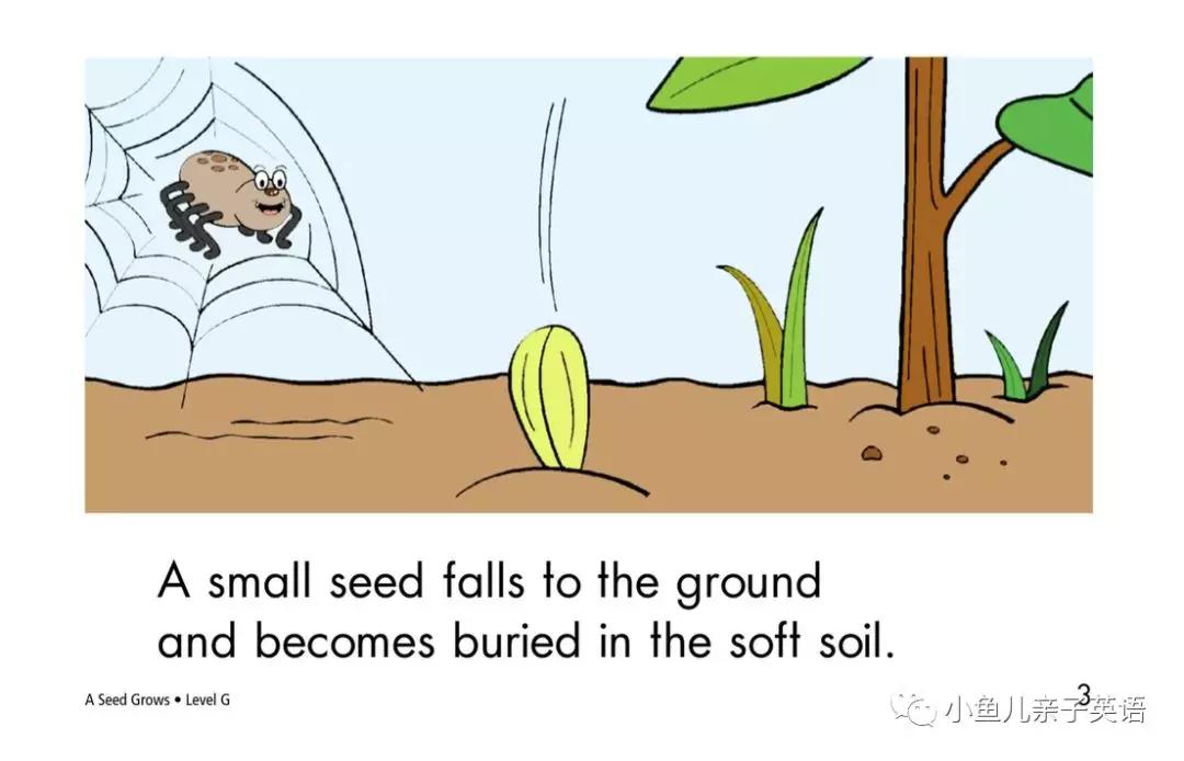 RAZ分级阅读全套aa-Z各级别难度对比（附全套资源）_内容