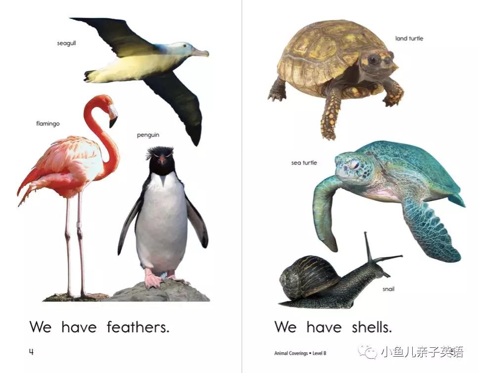 RAZ分级阅读全套aa-Z各级别难度对比（附全套资源）_内容