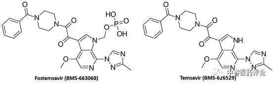 ERK抑制剂接踵而至，Th2通路药物络绎不绝，PD-(L)1适应症持续壮大…_治疗
