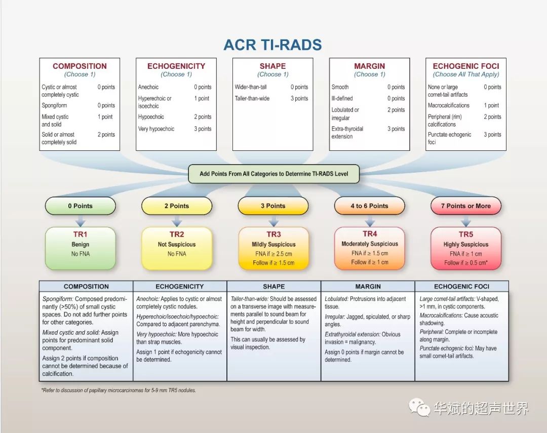 甲状腺结节超声分类系统汇总（10）：最正牌的 TI-RADS（ACR TI-RADS）_评分