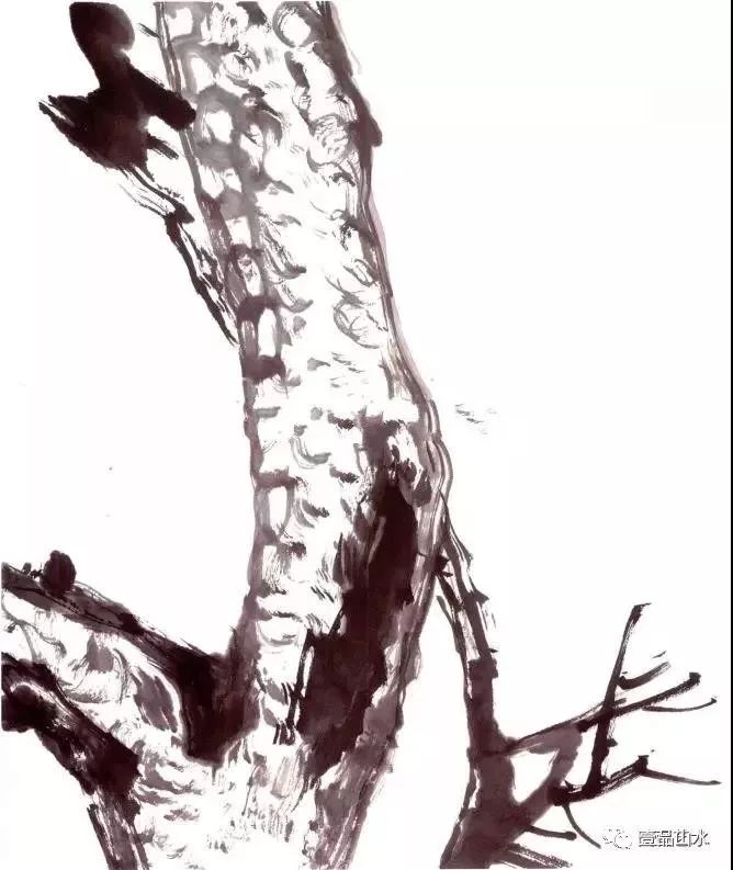 松树画法解析和图例示范_松针