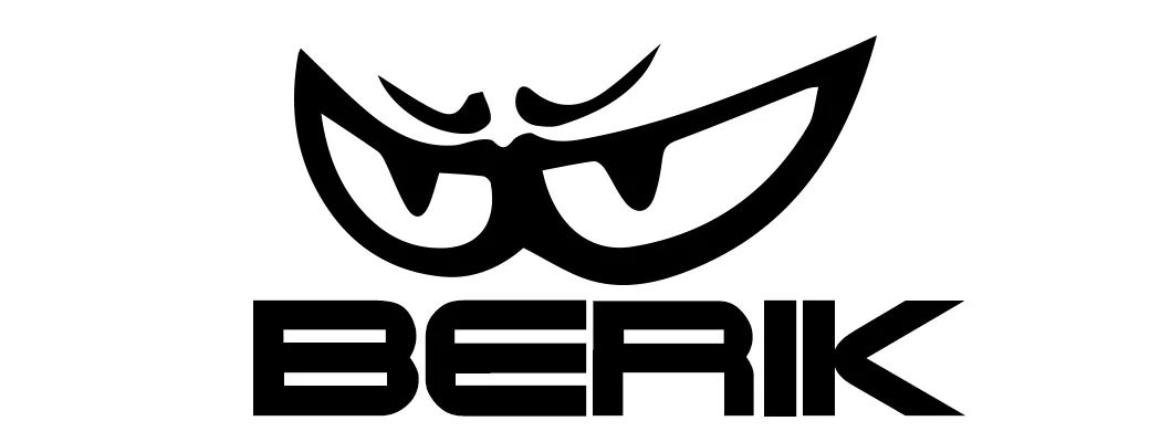 BERIK强势回归，开启2.0全新时代！_搜狐汽车_搜狐网