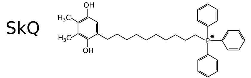 为什么说SKQ1是最好的抗氧化剂？看完这篇你就懂了！_线粒体
