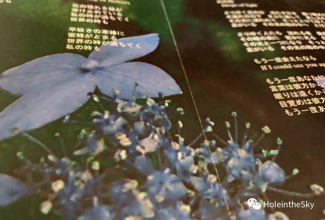 【Holeinthesky呈现】时空的微笑——頭士奈生樹（Naoki Zushi）中国首演_专辑