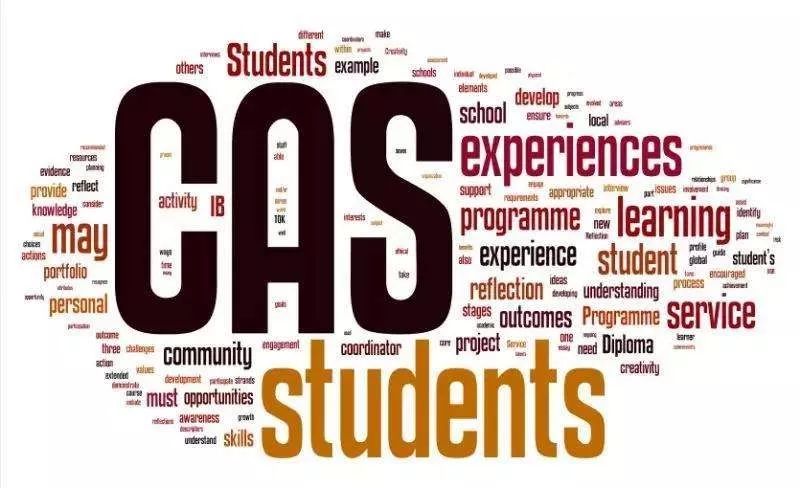 【科普】一文带你了解IB的三门核心课程：TOK、EE、CAS及考评方法_知识