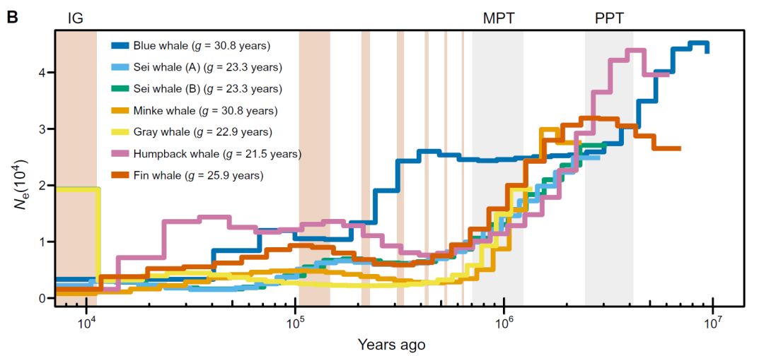 种群历史有效群体大小——PSMC案例讲解-搜狐大视野-搜狐新闻