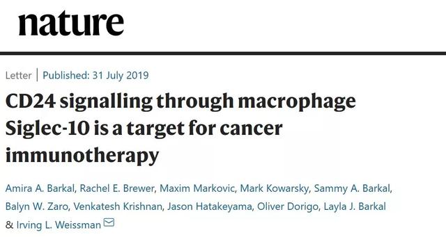 CD47和CD24：“别吃我”信号蛋白中的王者_细胞膜