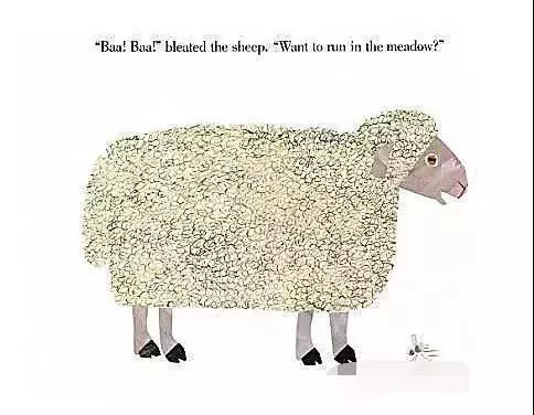 绘本故事 | The Very Busy Spider 好忙好忙的蜘蛛 Vol.53_Want