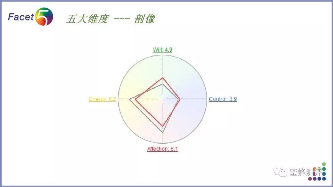 人才测评145│Facet5，一个朴实又有才华的测评工具（一文全解读）_维度