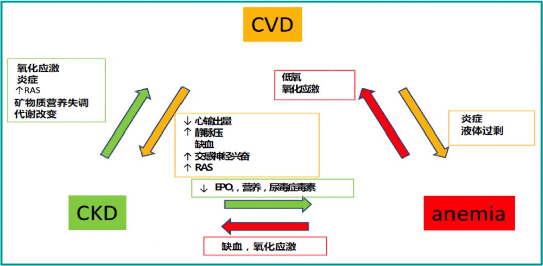 分支机构丨重点聚焦“高风险”CKD人群 ，中国“围透析期”全新概念应运而生_患者