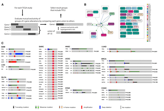 文献解析（49）TP53突变这么重要？_肿瘤