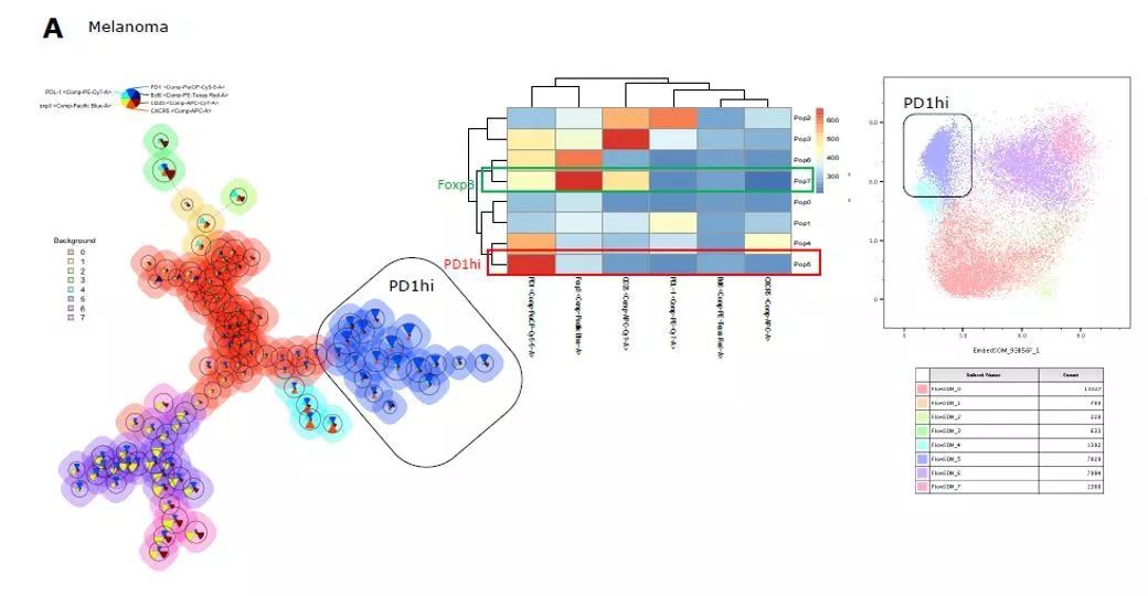 【案例分享】王老师带你玩转FlowJo®系列——手动圈门vs自动聚类_分析