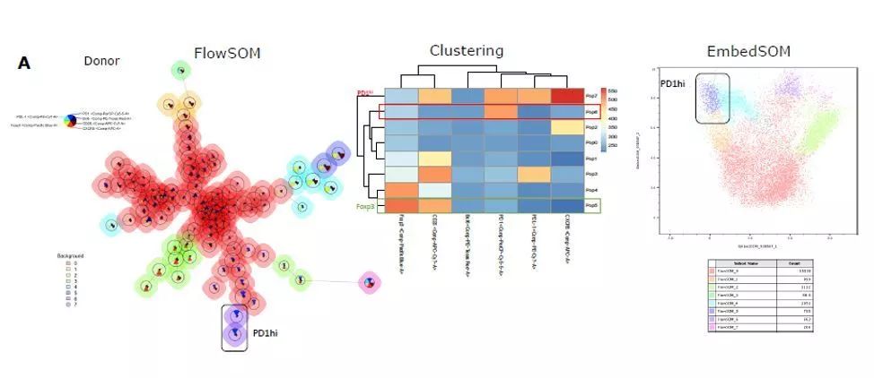 【案例分享】王老师带你玩转FlowJo®系列——手动圈门vs自动聚类_分析