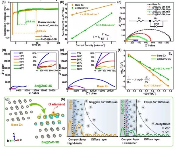Energy &Environmental Science: 高性能锌金属负极—离子迁移动力学及界面稳定性的控制_Zn@ZnO-