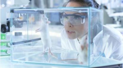 ABSL-3和ABSL-4生物安全动物实验室的设计与基本规范要求_消毒