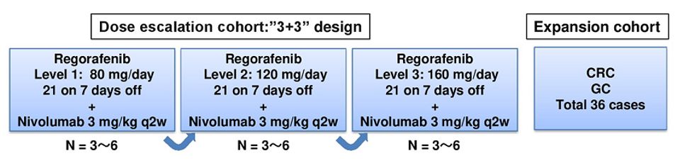 REGONIVO研究再添新数据，开启MSS型胃肠癌免疫治疗新视角_患者