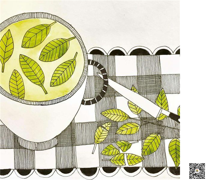 Jan Brewerton 的生活静物线描画-搜狐大视野-搜狐新闻