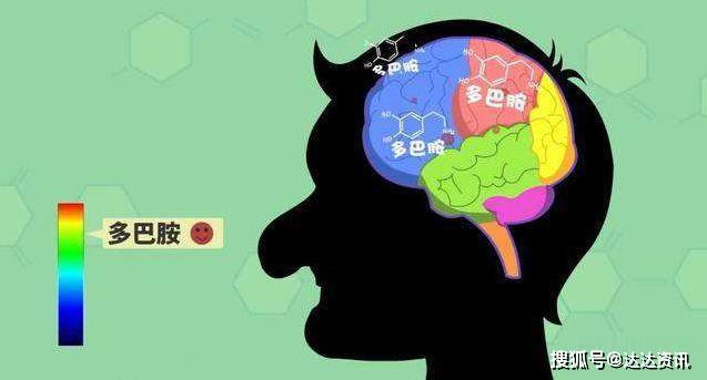 人是怎么废掉的: 沉溺于低级快乐成瘾的行为之中-搜狐大视野-搜狐新闻