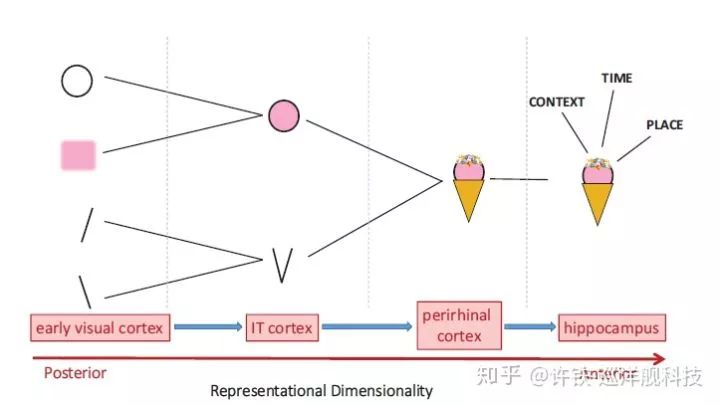 4种不同的记忆及记忆的本质_memory