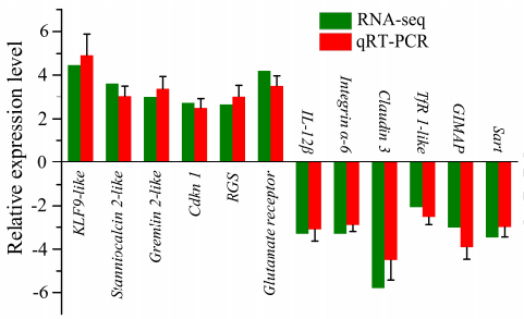 RNA-Seq+qRTPCR 转录组文章轻松发 _富集