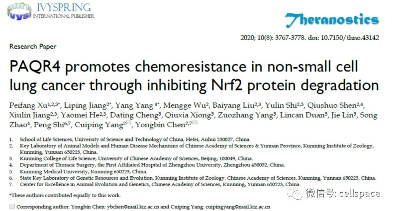 陈勇彬团队发现PAQR4通过调控Nrf2泛素化修饰和蛋白稳定性进而影响非小细胞肺癌化疗耐药的新机制-搜狐大视野-搜狐新闻